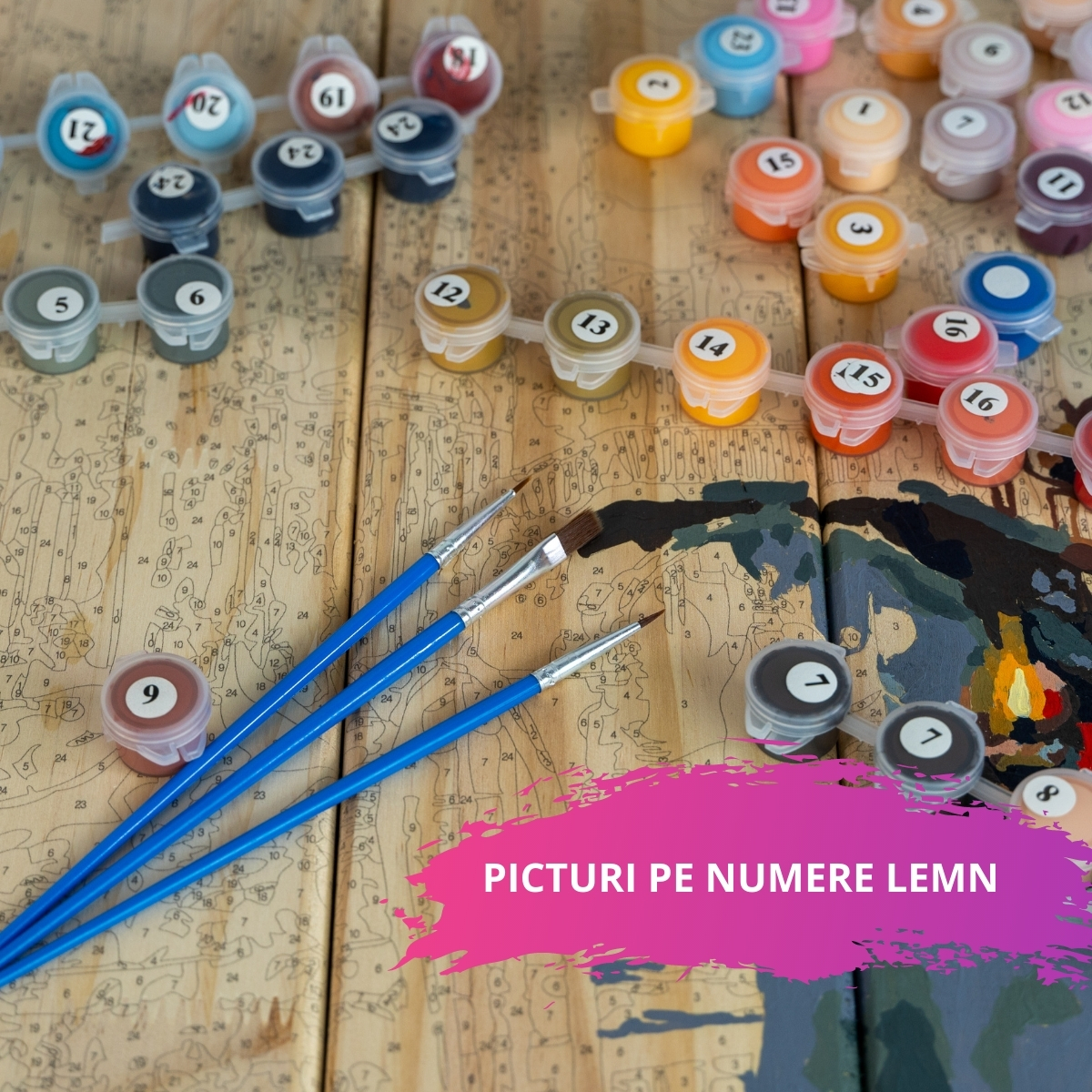 Picturi pe numere - Modele Unice - Sevalet Cadou